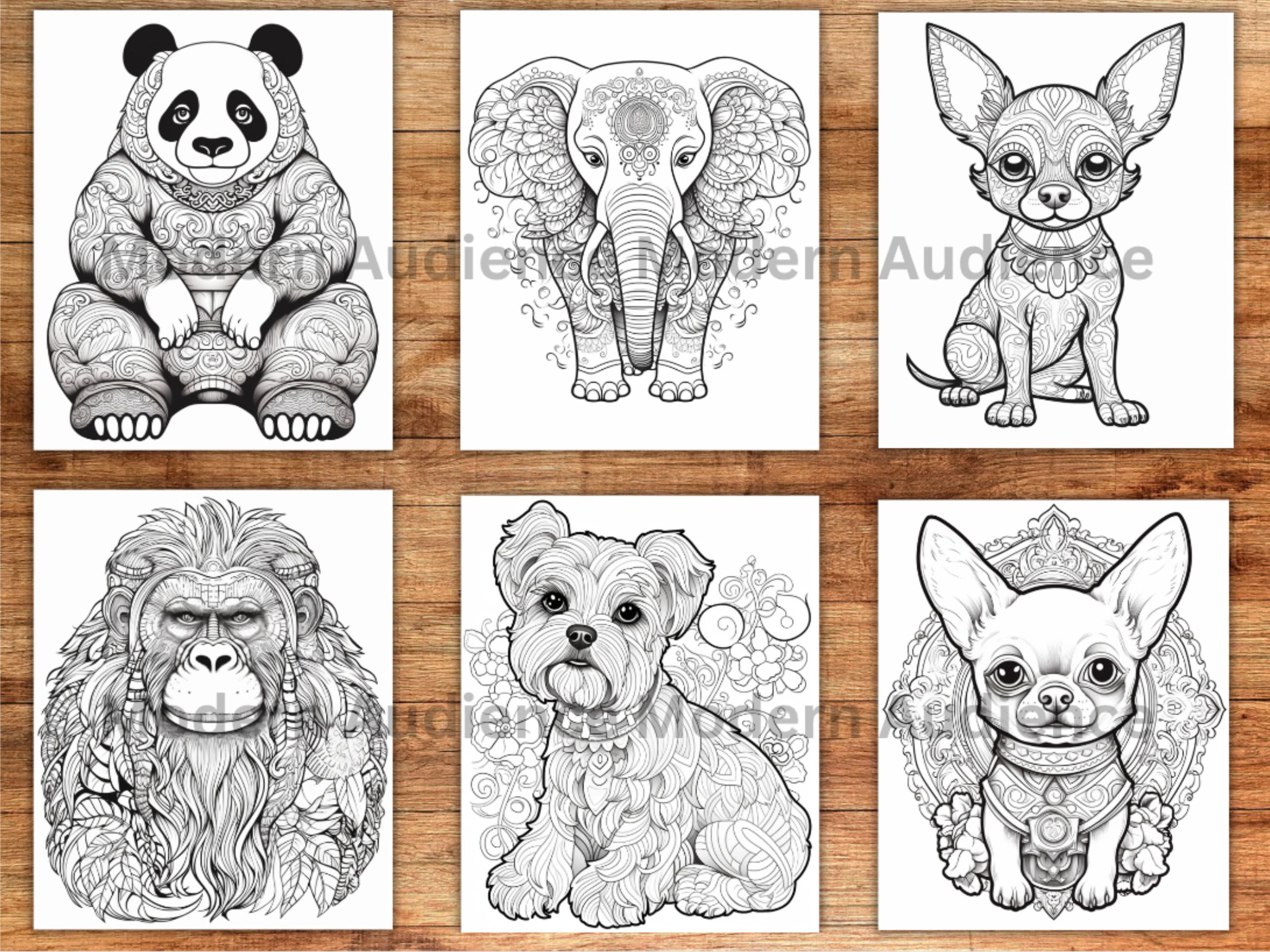 Wild Wonders & Furry Friends Coloring Book Volume 2 Coloring Book for ...