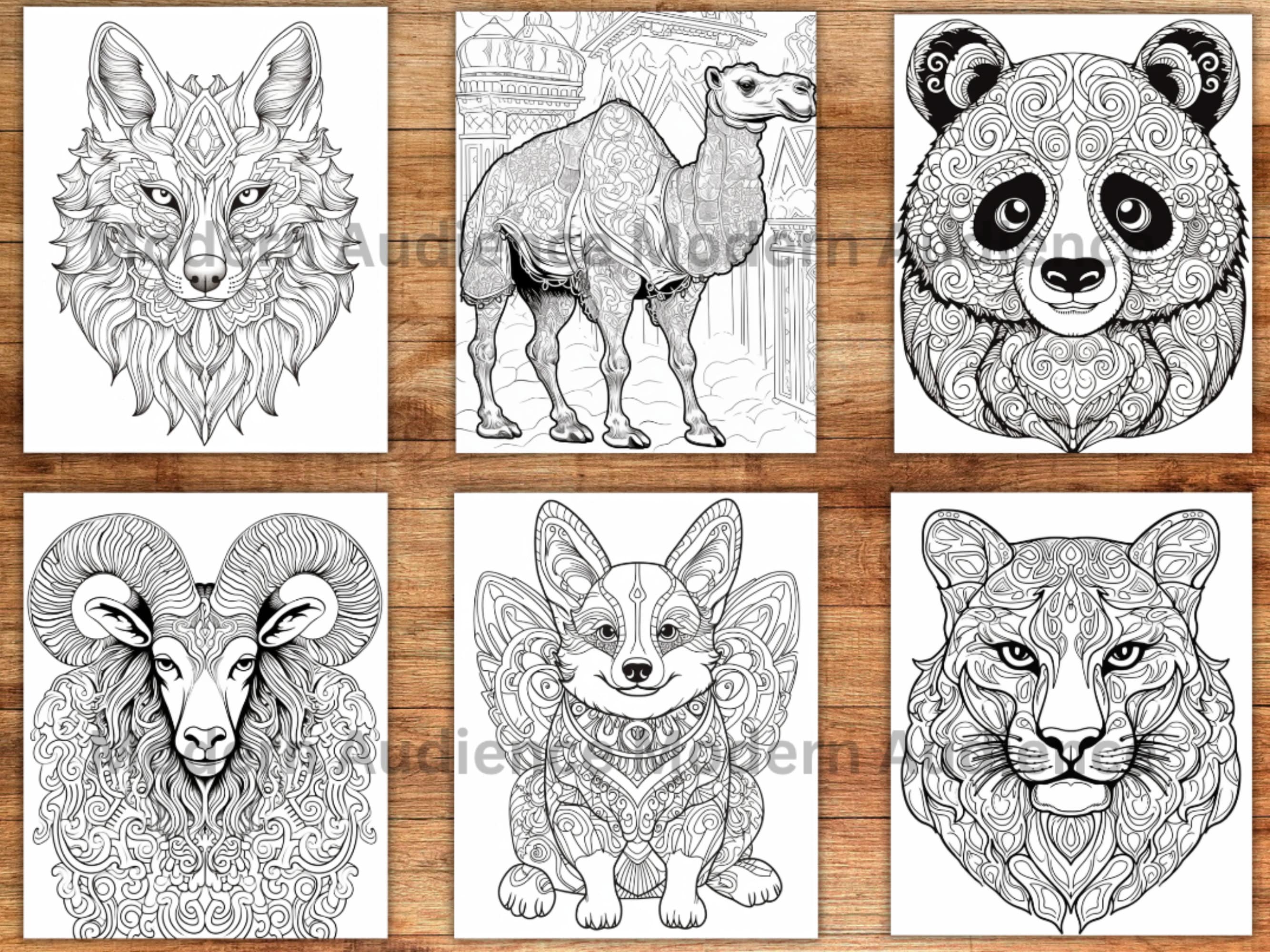 Wild Wonders & Furry Friends Coloring Book Volume 2 Coloring Book for ...