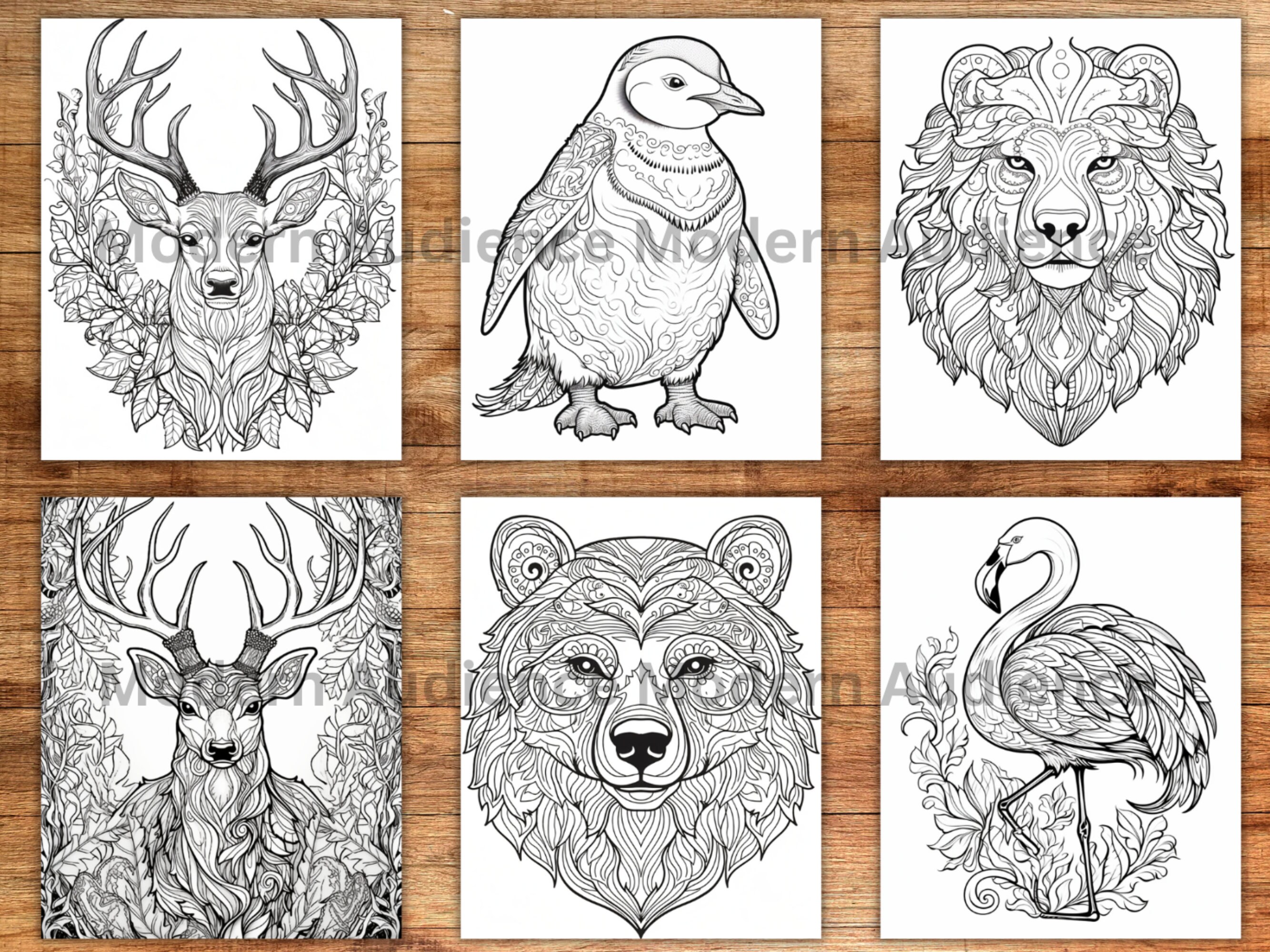 Wild Wonders & Furry Friends Coloring Book Volume 1 - Coloring Book for ...