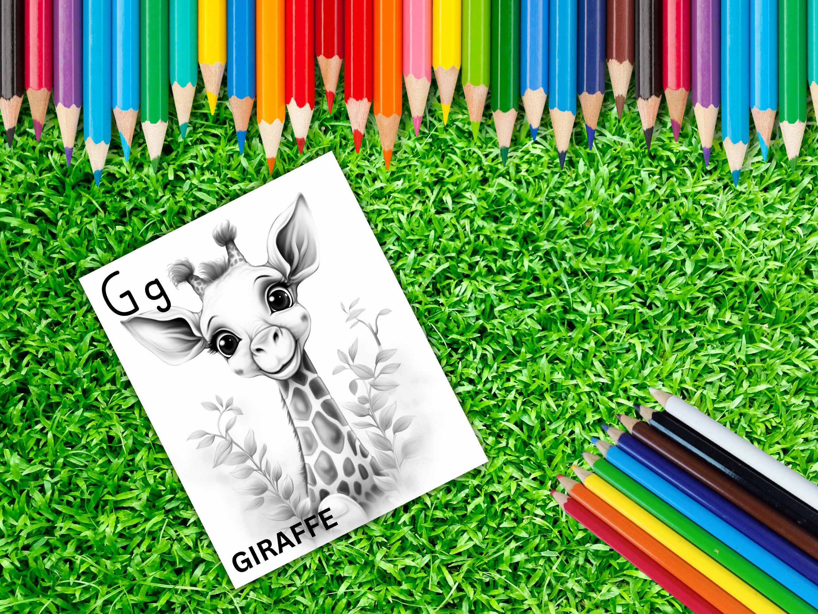 Animal Alphabet Coloring Book: A Captivating Journey From A to Z ...