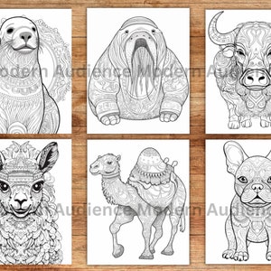 Wild Wonders & Furry Friends Coloring Book Volume 2 - Coloring Book for ...