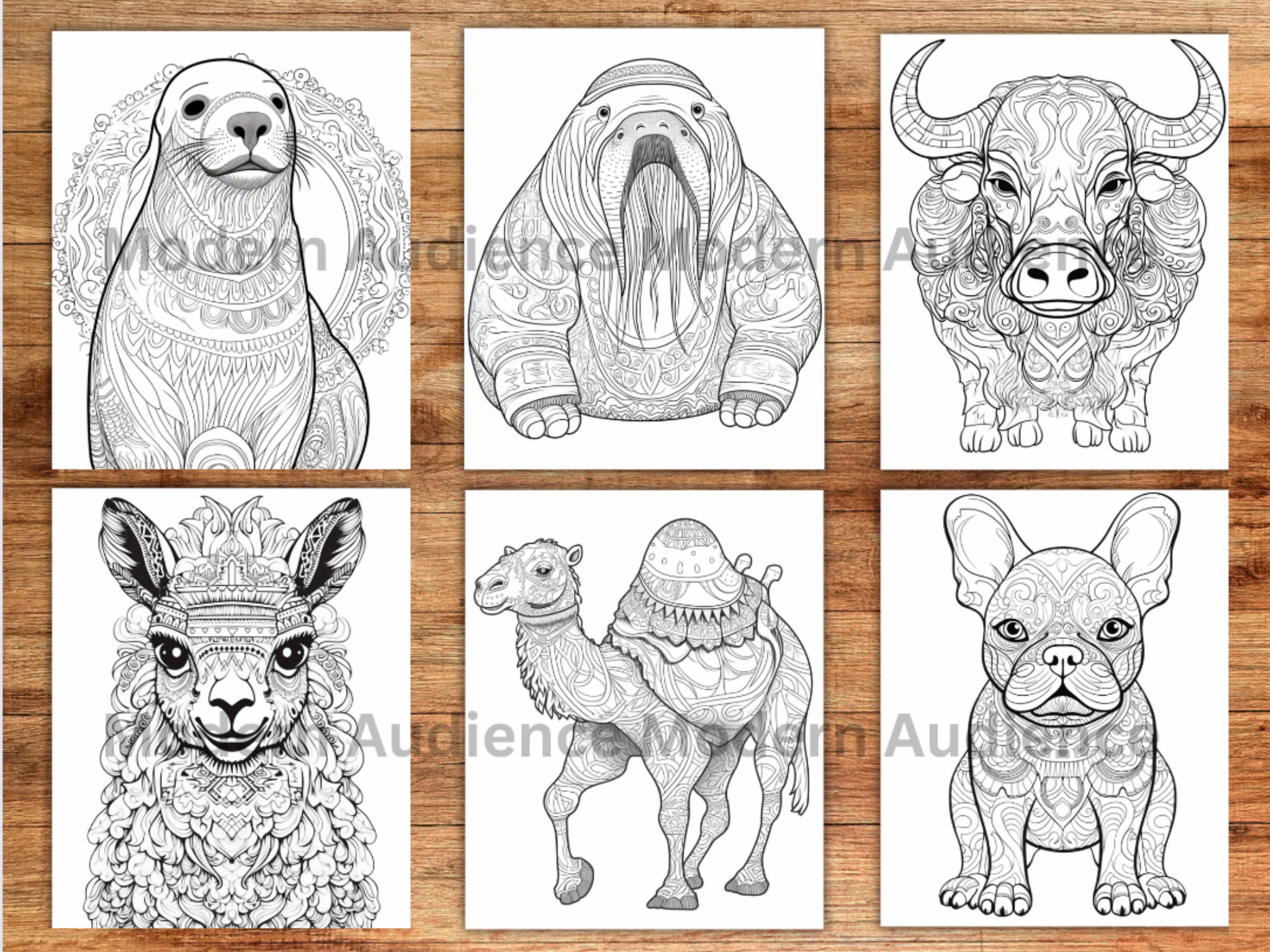 Wild Wonders & Furry Friends Coloring Book Volume 2 Coloring Book for ...