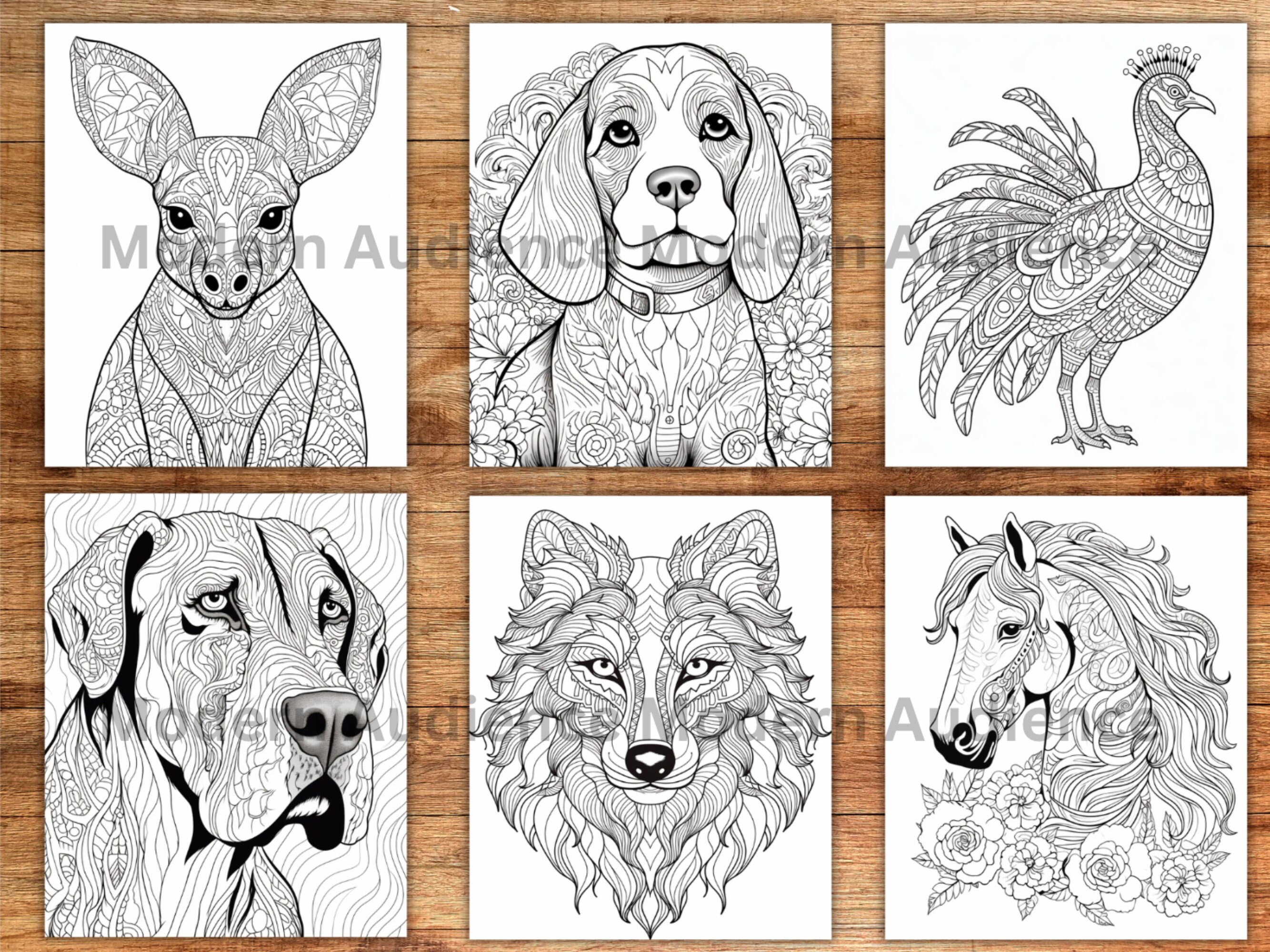 Wild Wonders & Furry Friends Coloring Book Volume 1 - Coloring Book for ...