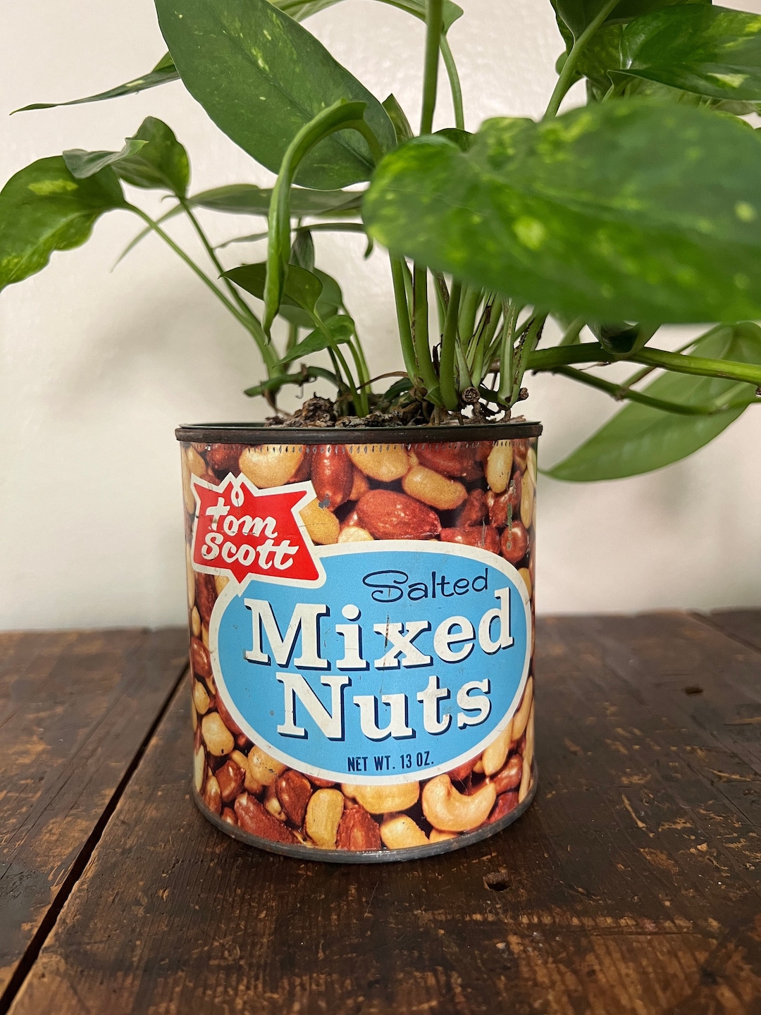 Vintage Salted Mixed Nuts Tin Tom Scott Nut Tin - Etsy