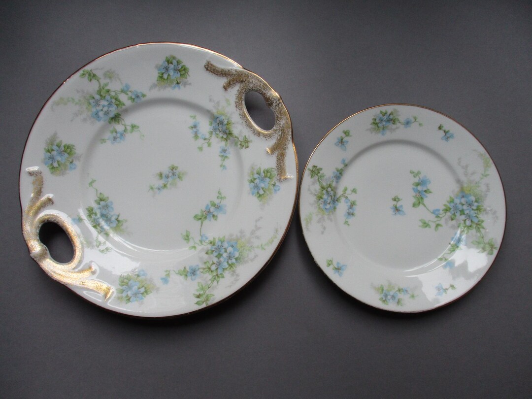 Limoges Elite Works Serving Plate Set Blue Flowers - Etsy