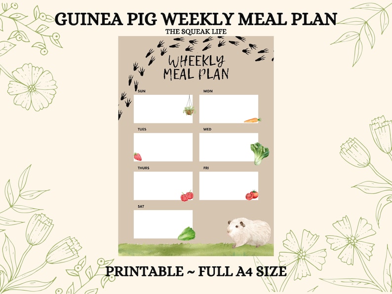 Guinea Pig Weekly Meal Planner - Etsy