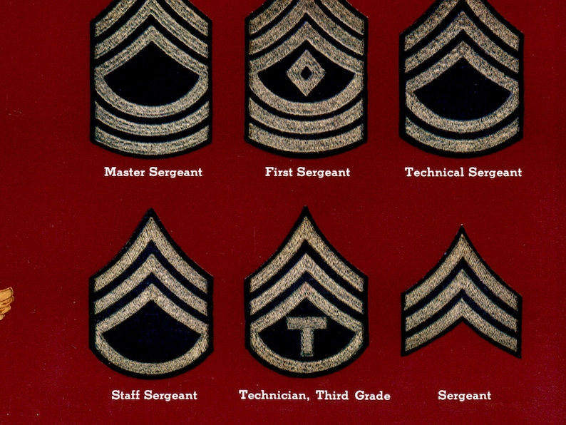 1943 insignia of the U.S. Army Vintage WW2 Army Rank and Emblems Poster ...
