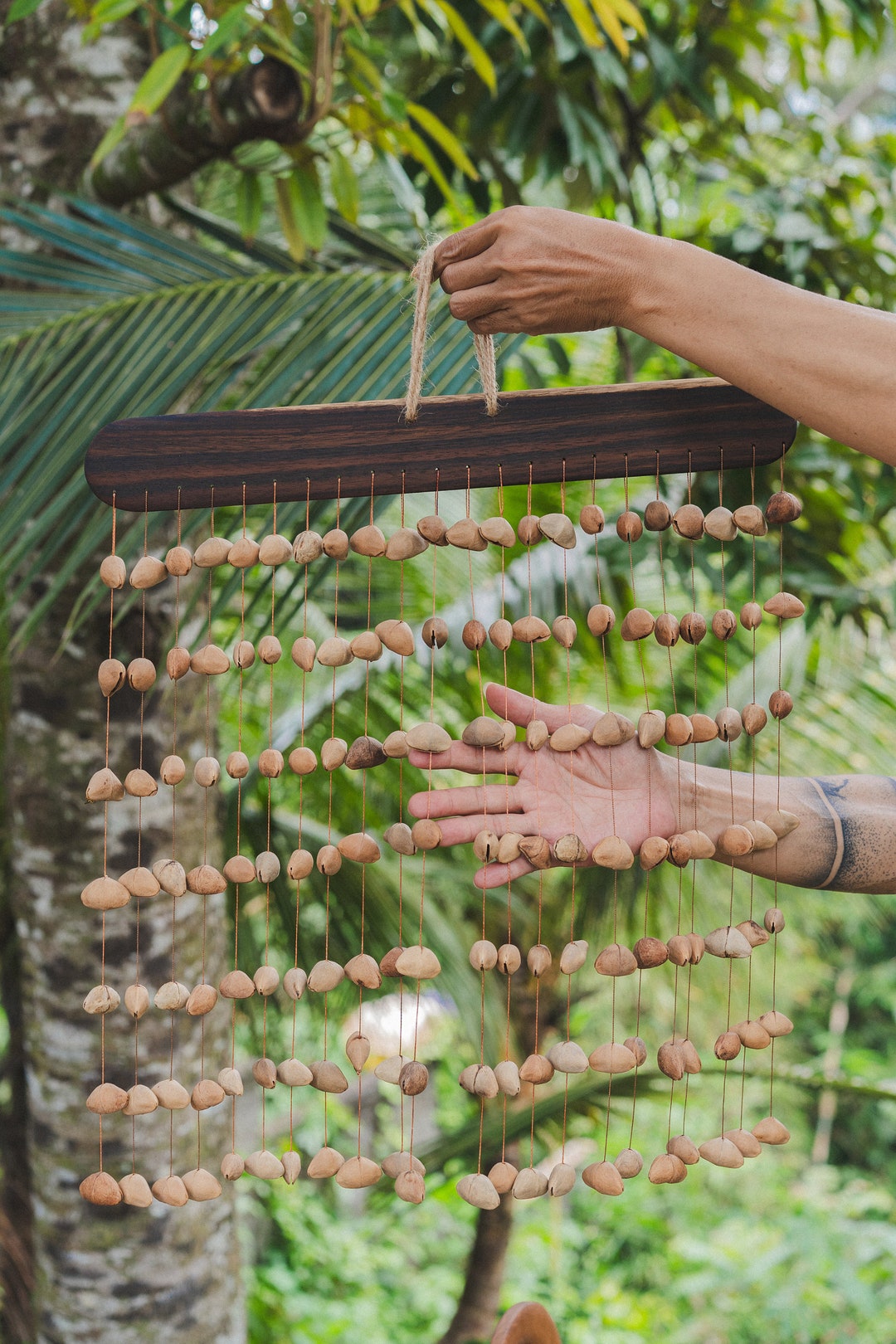 Kenari Seed Shaker, Water Sound Shaker, Kenari Seed Rattle, Nut Shell ...