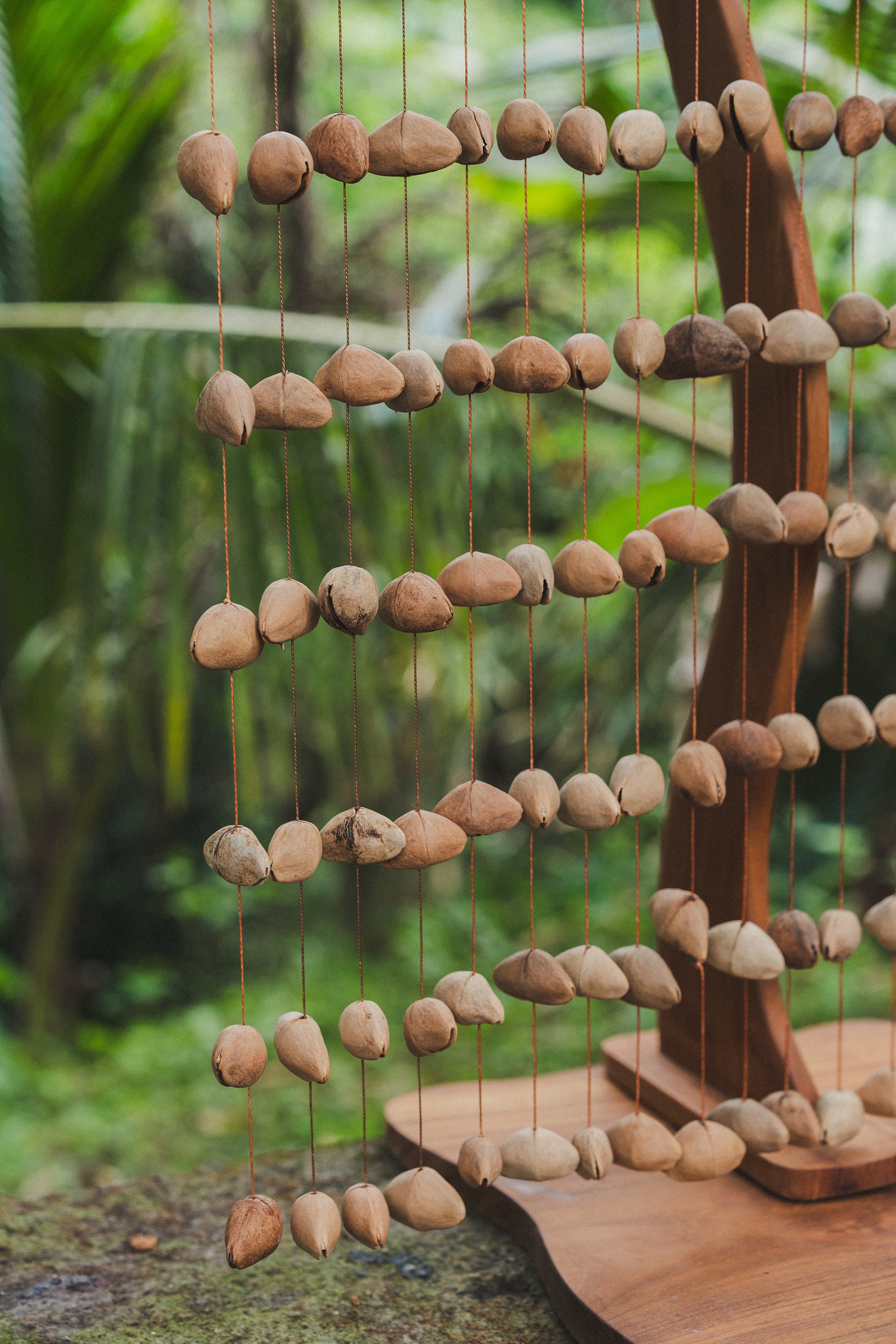 Kenari Seed Shaker, Water Sound Shaker, Kenari Seed Rattle, Nut Shell ...