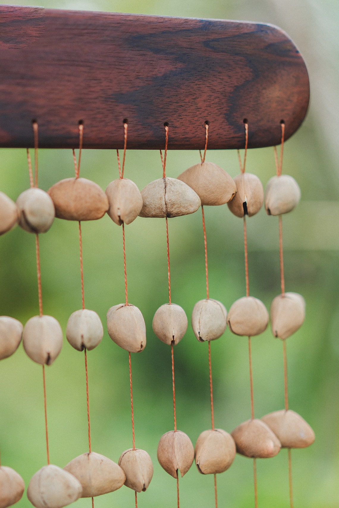 Kenari Seed Shaker, Water Sound Shaker, Kenari Seed Rattle, Nut Shell ...