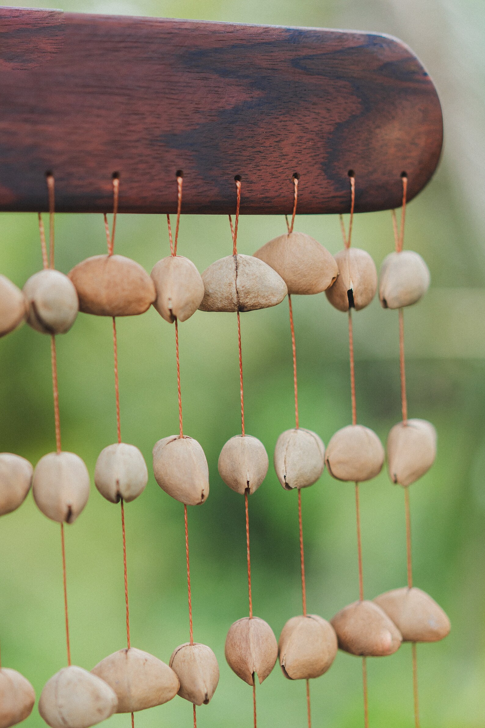 Kenari Seed Shaker, Water Sound Shaker, Kenari Seed Rattle, Nut Shell ...