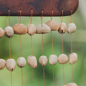 Kenari Seed Shaker, Water Sound Shaker, Kenari Seed Rattle, Nut Shell ...