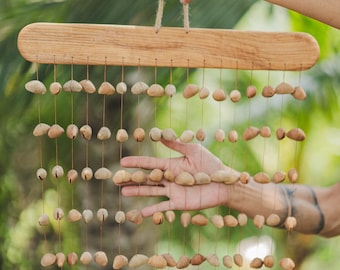 Kenari Seed Shaker, Water Sound Shaker, Kenari Seed Rattle, Nut Shell ...