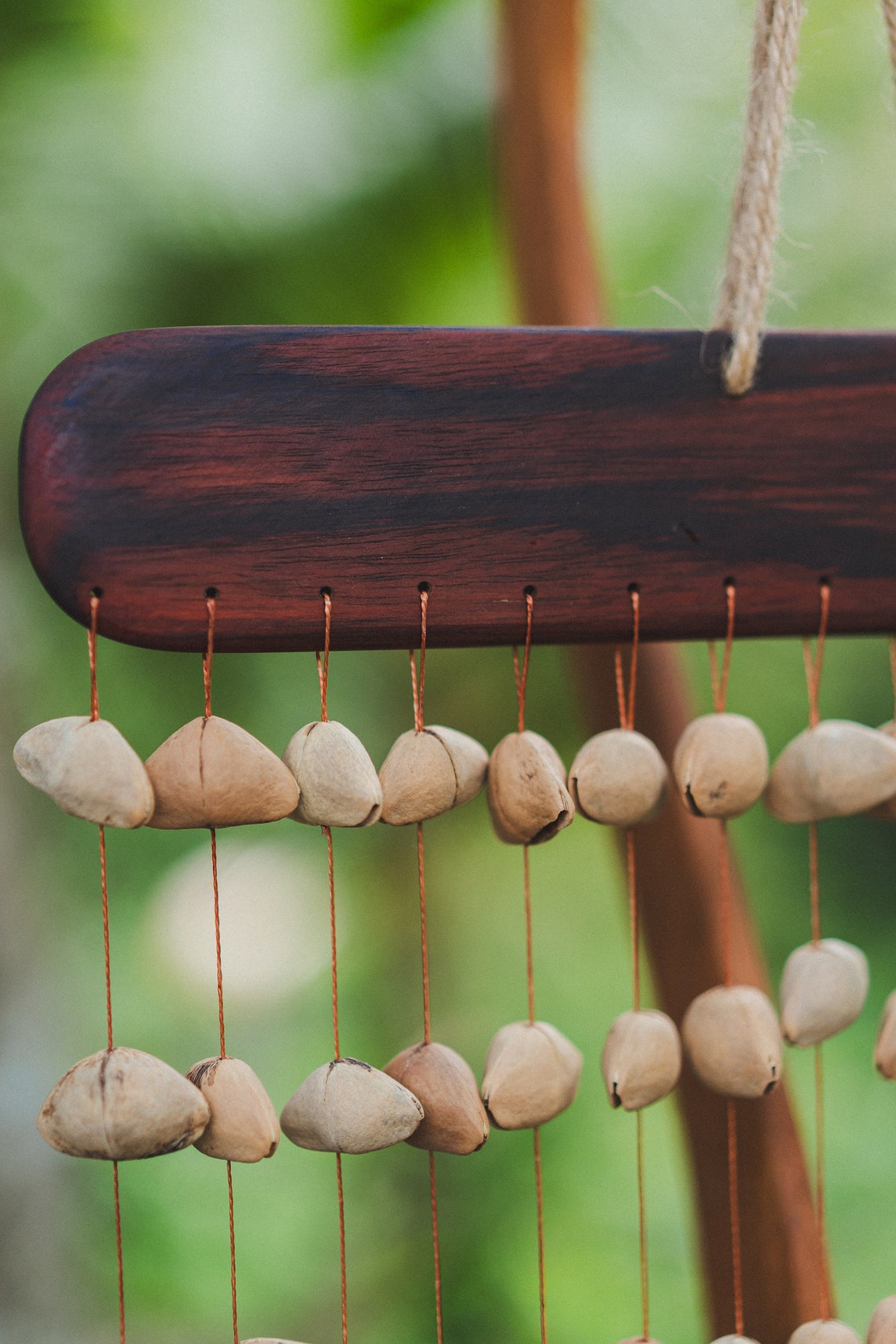 Kenari Seed Shaker, Water Sound Shaker, Kenari Seed Rattle, Nut Shell ...