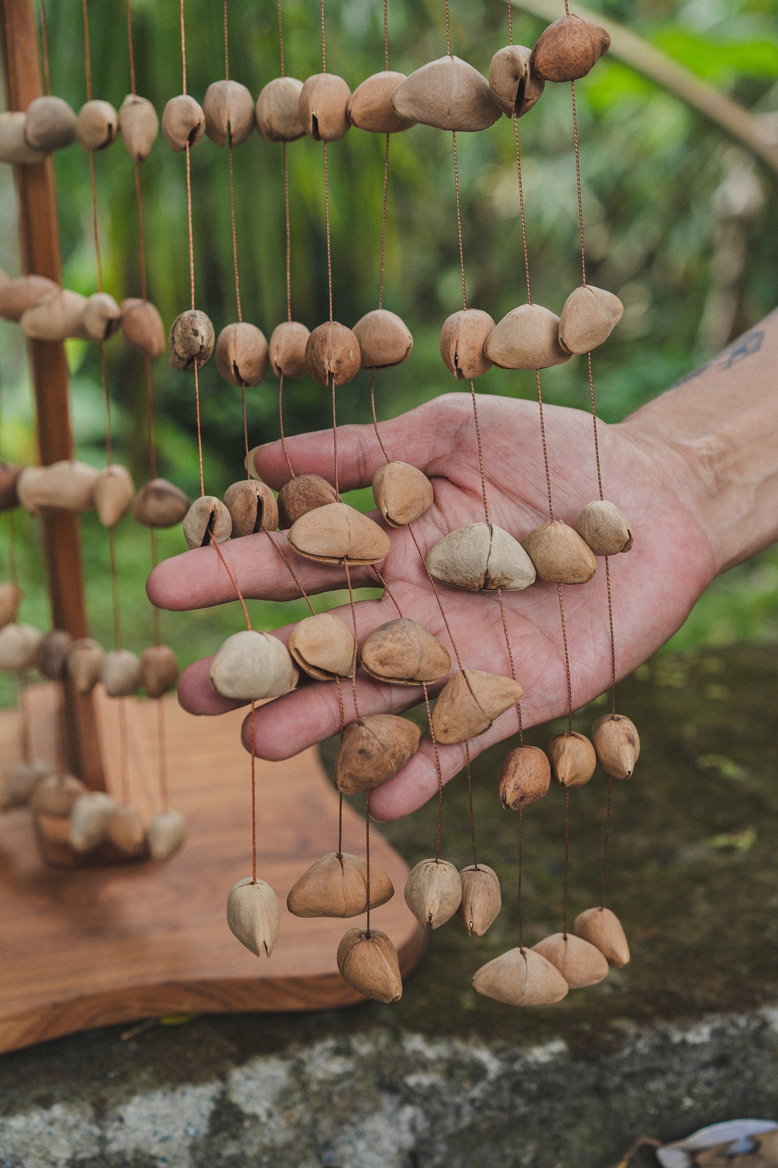 Kenari Seed Shaker, Water Sound Shaker, Kenari Seed Rattle, Nut Shell ...