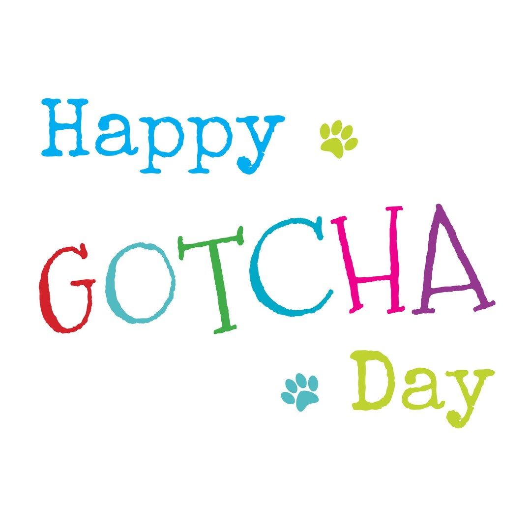 Gotcha Day Greeting Card - Etsy