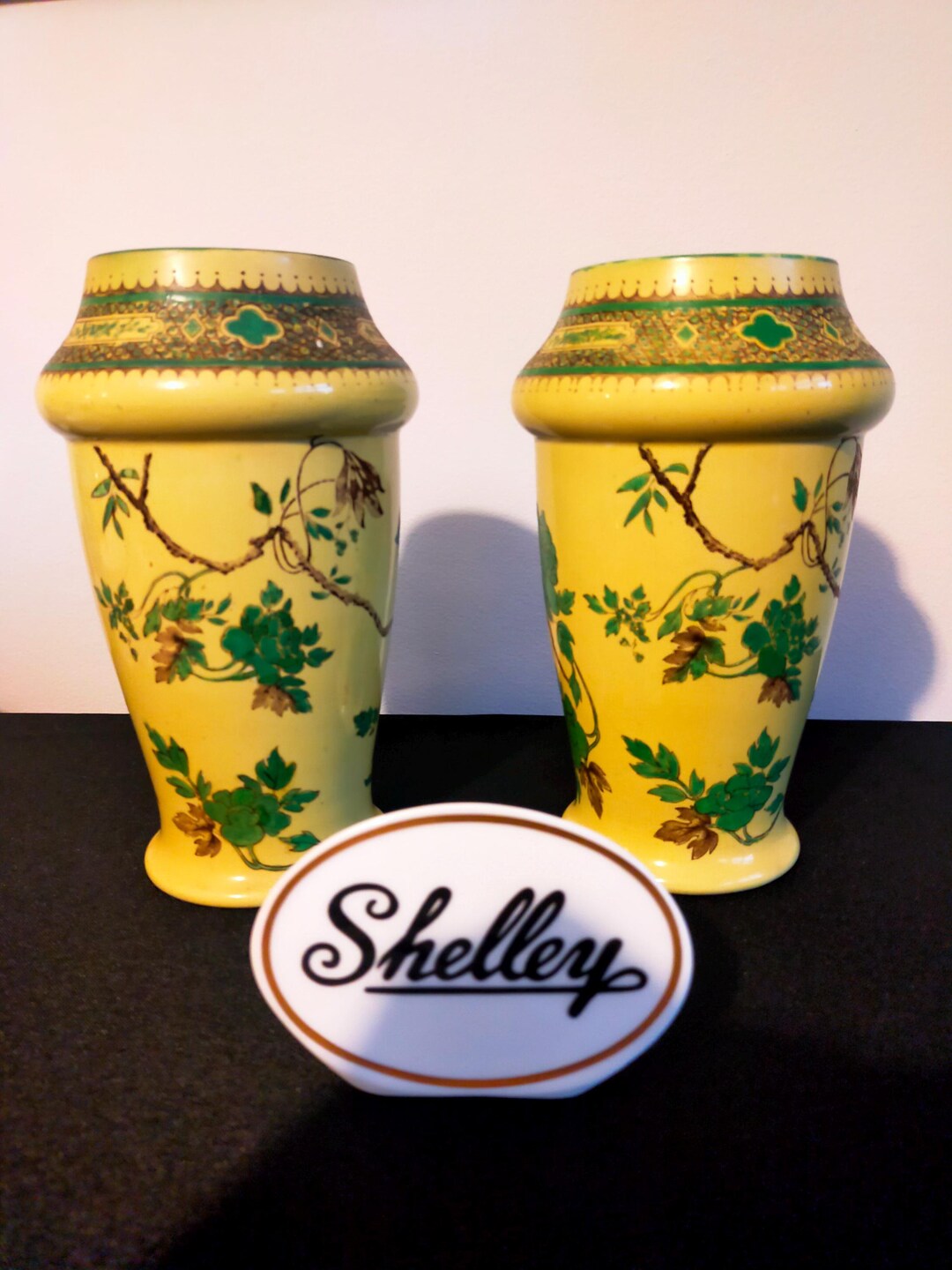 A Pair of Shelley Colisello Vases Foliage Pattern Vintage Vases 20cm ...