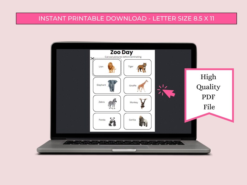 Zoo Day-picture Exchange Routine Cards-nonverbal Communication Autism ...