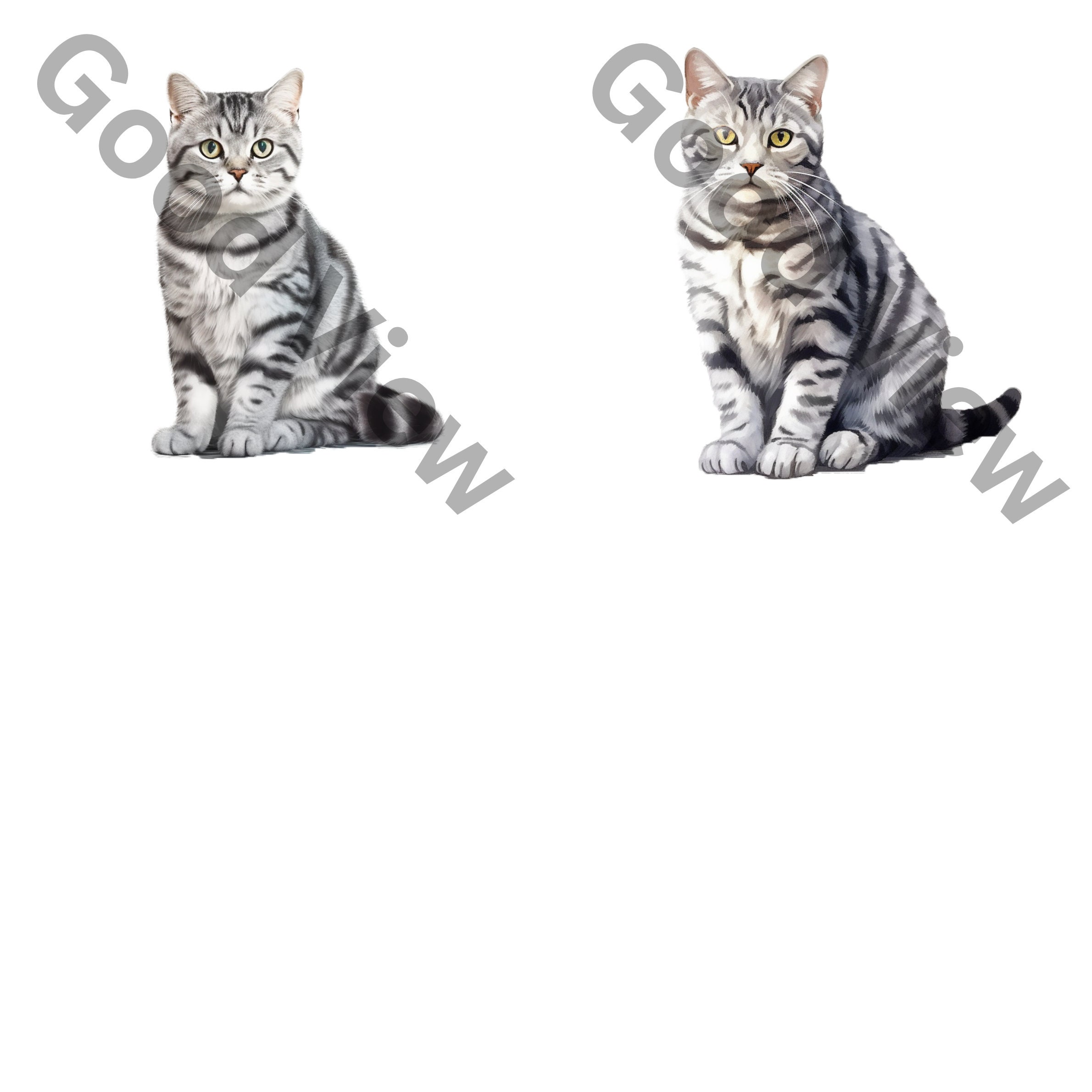 30 Realistic Beautiful Cute Cats Kittens Clipart. Realistic - Etsy