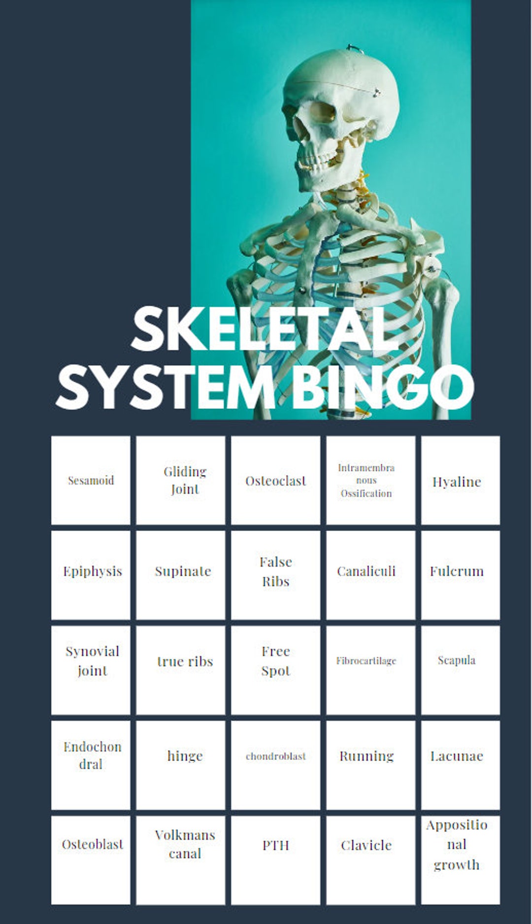 Skeletal System Bingo Review - Etsy