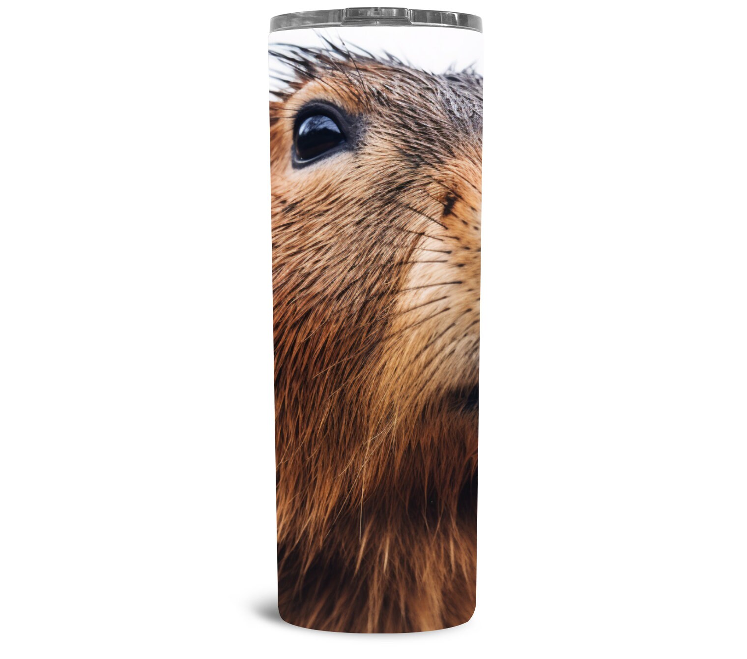 Cute Capybara Portrait 3D Sublimation 20 Oz Skinny Straight Tumbler ...