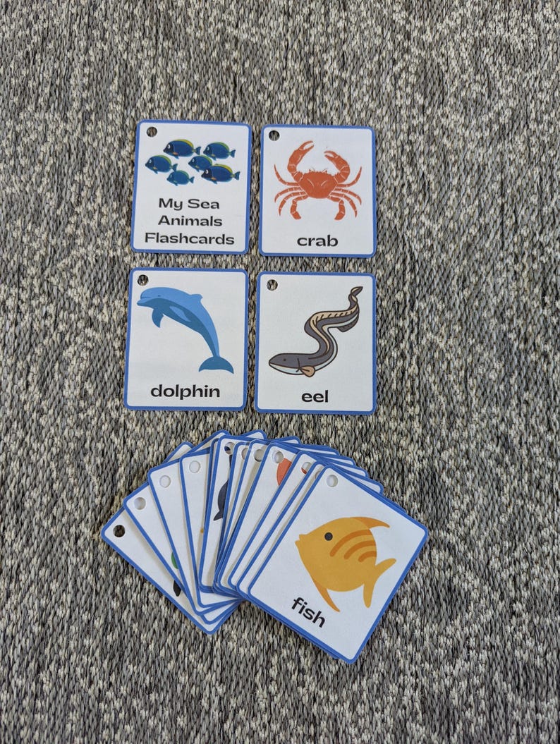 My Sea Animals Cards, Laminated on Binder Ring - Etsy