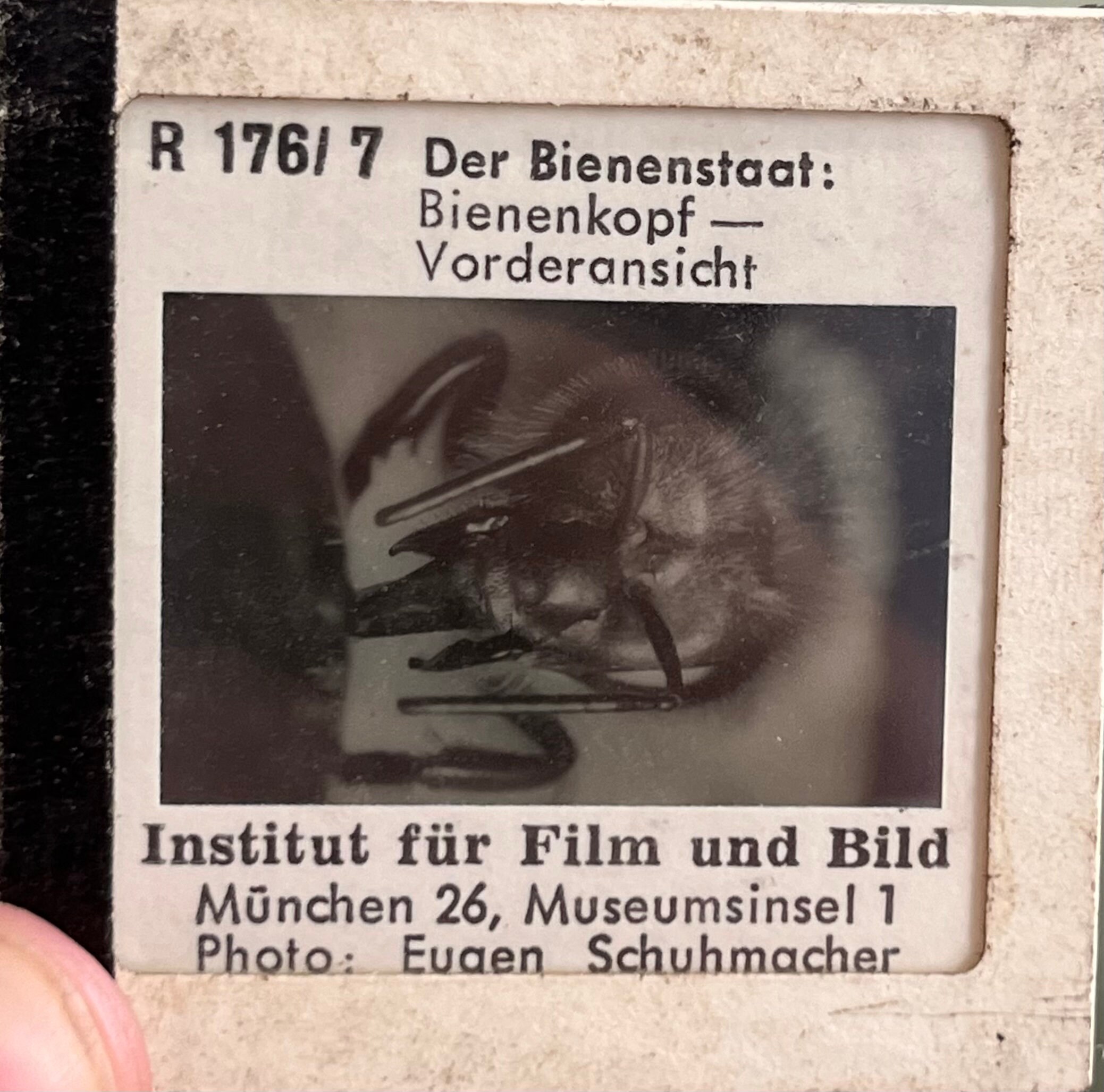 1940s Educational Glass Slides Frame With Box , for Slide Projector ...