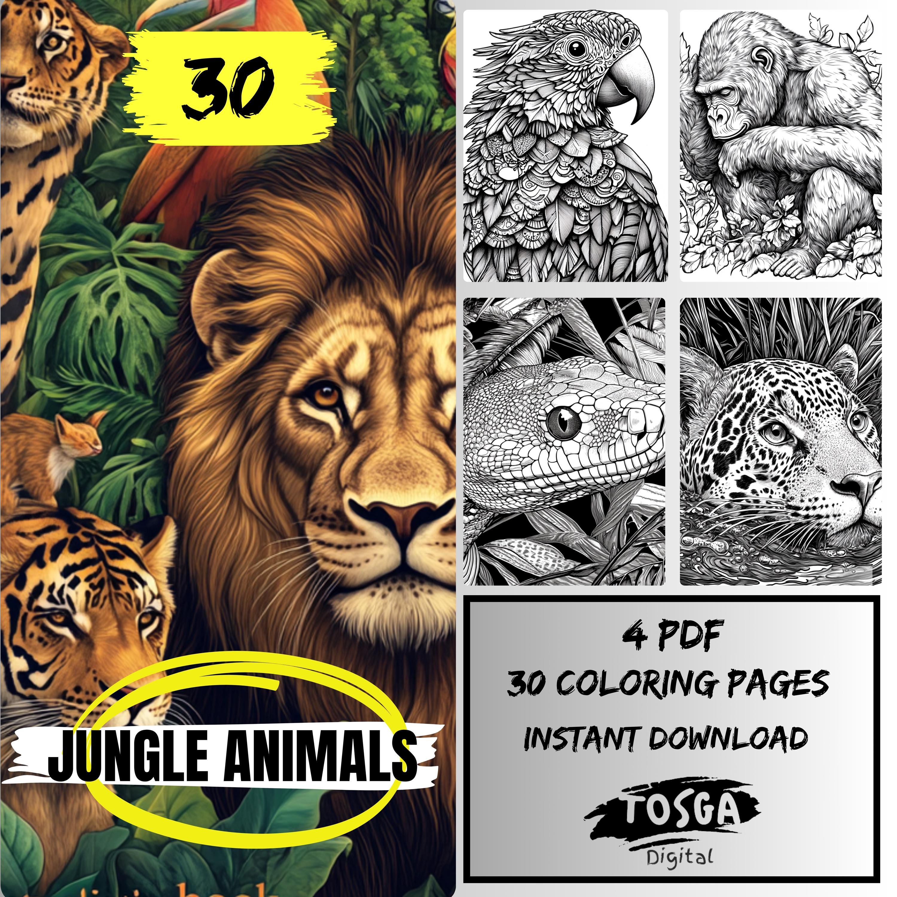 Jungle Wonders: A High-detail Coloring Adventure - Etsy