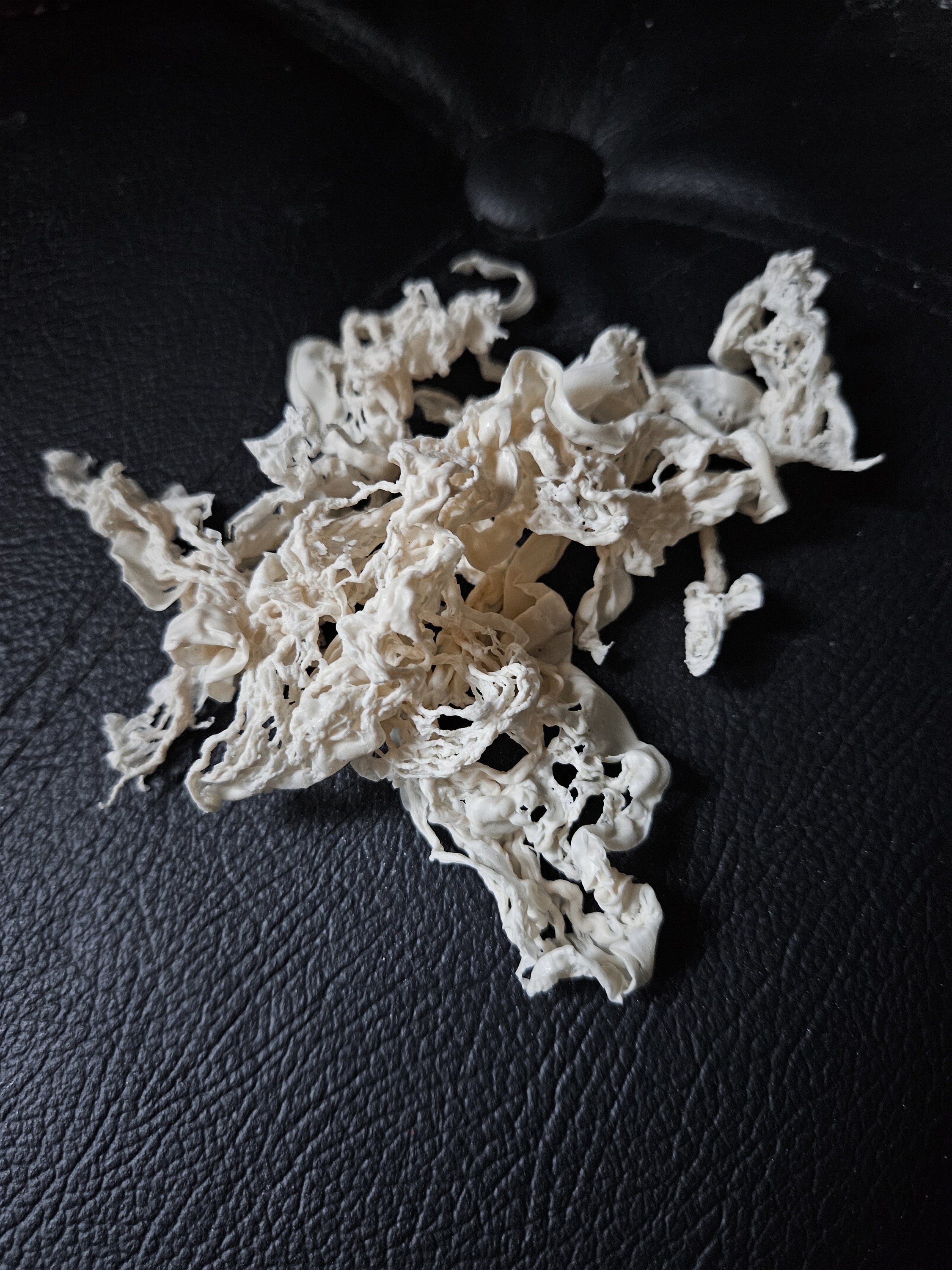 Female Vampire Prosthetic Kit - Etsy