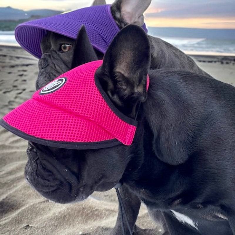 Hats for Dogs - Etsy