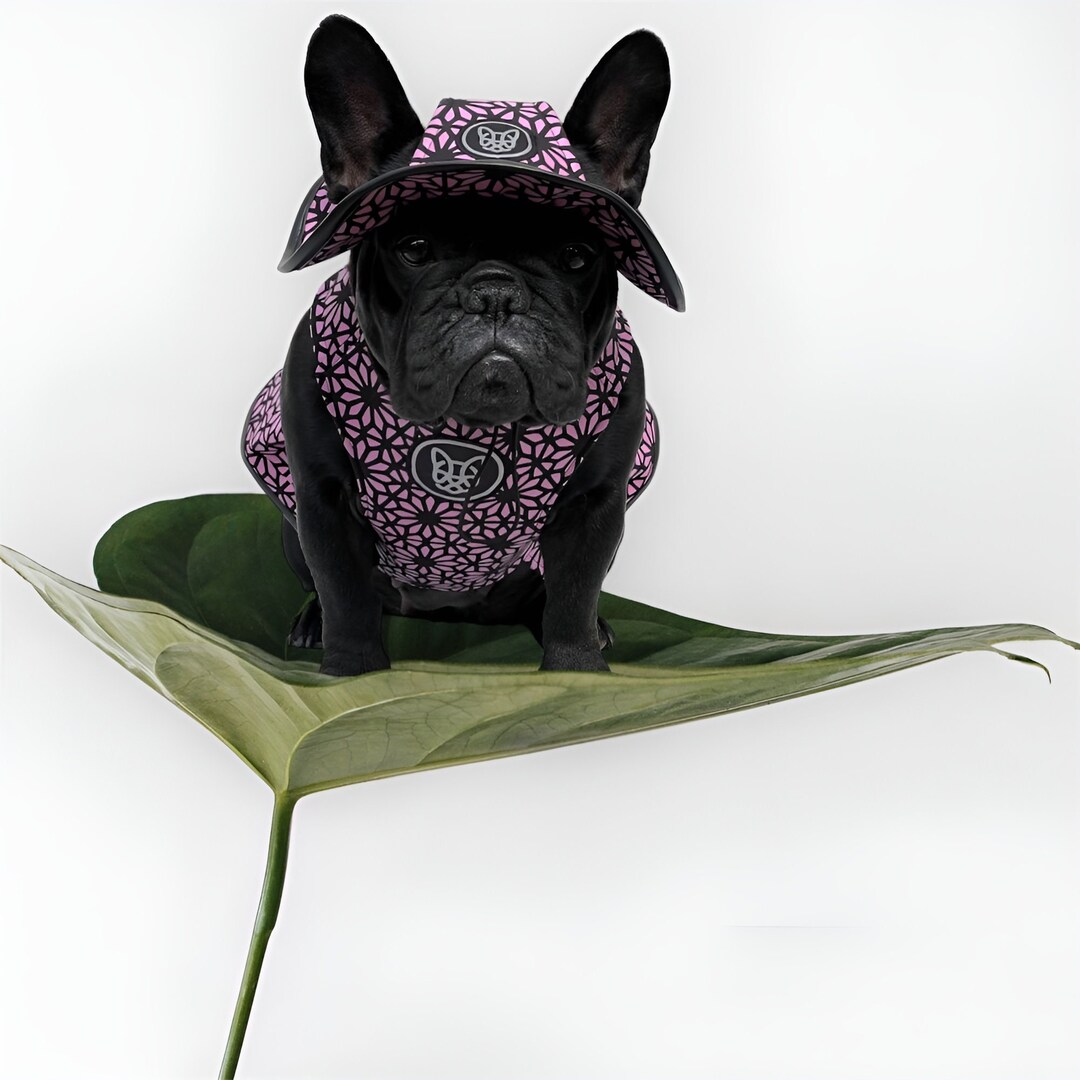 Dog Bucket Hat With Ear Holes, Summer Dog Cap, Outdoor Sun Protection ...