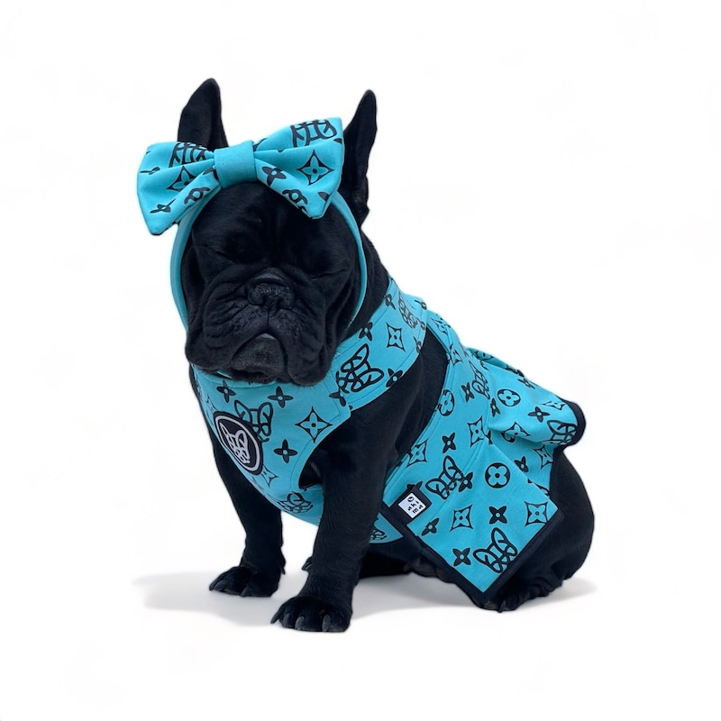Designer Dog Clothes - Etsy