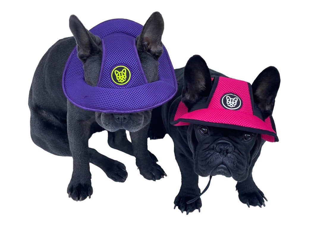Pet Sun Hat With Ear Holes Dog Hat Bucket Hat Puppy Hat Dog Visor Sun ...