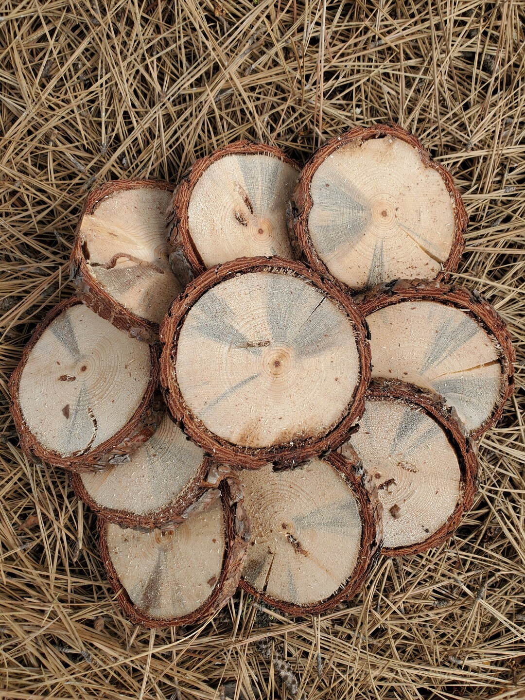 20 Unfinished Pine Wood Rounds - Etsy