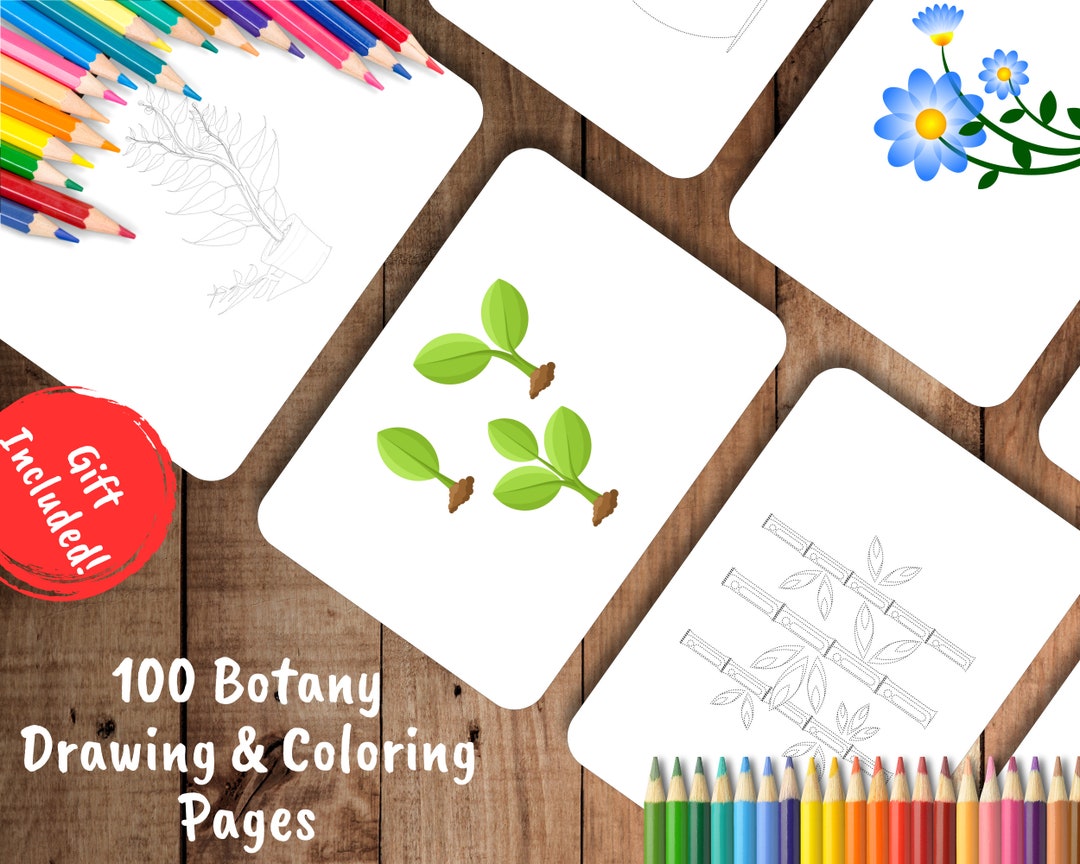 100 Botany Coloring Pages for Kids Iconic Dotted Line Design - Etsy