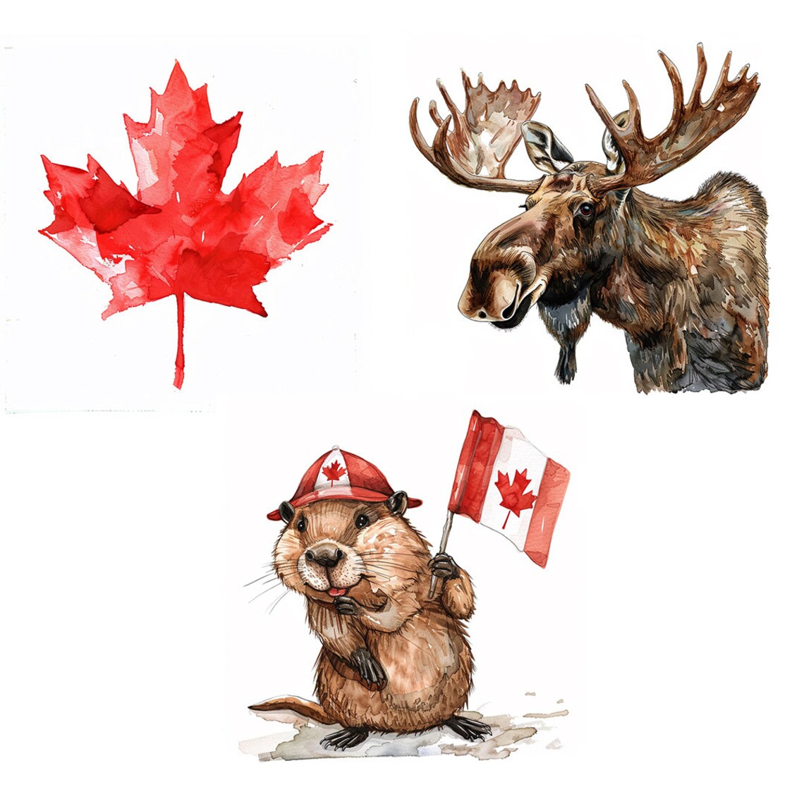 Canada Day Watercolor Clipart, 24 PNG Canada Day Clip Art, Canada ...