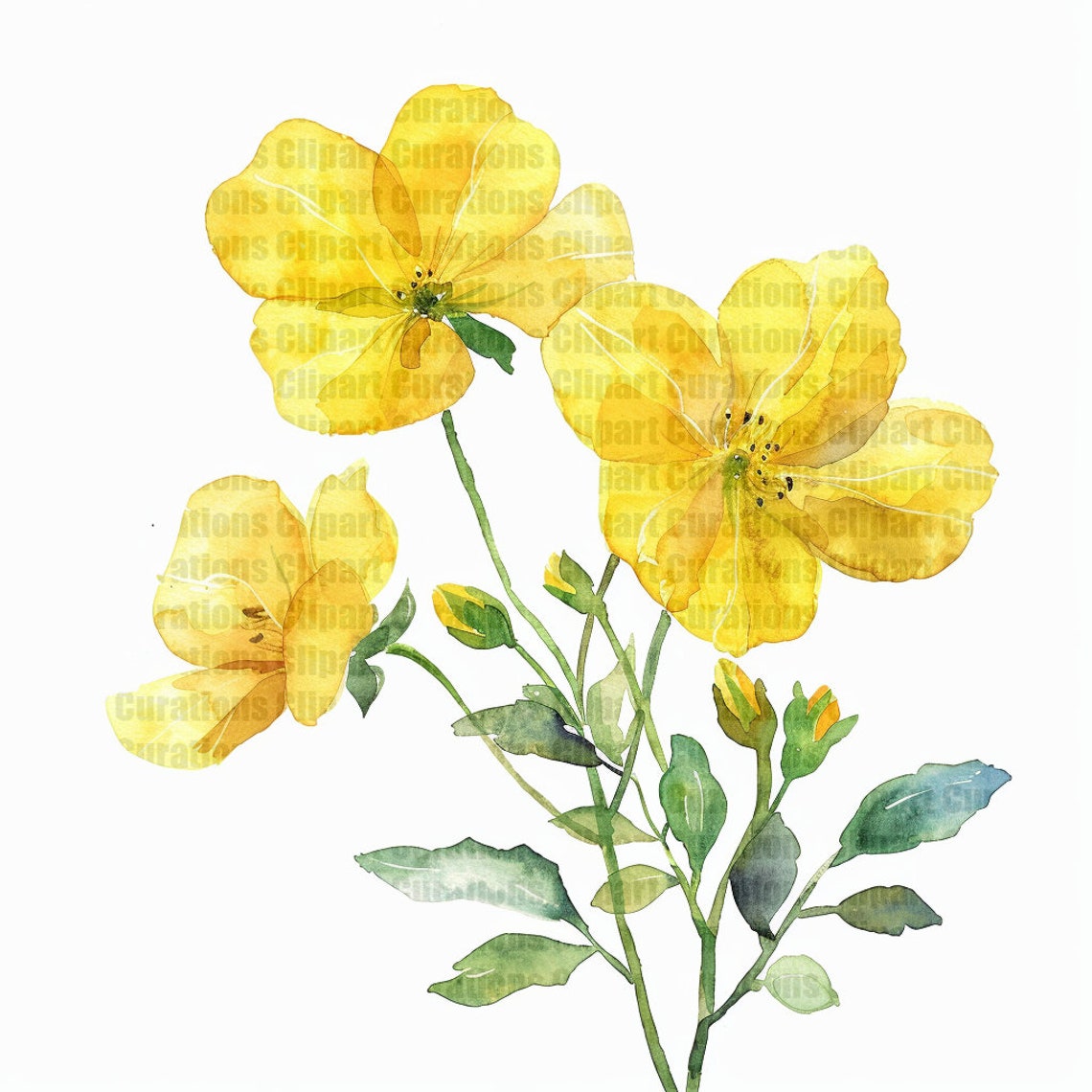 18 Countless Watercolor Flowers Clipart, Flowers Print, Printable ...