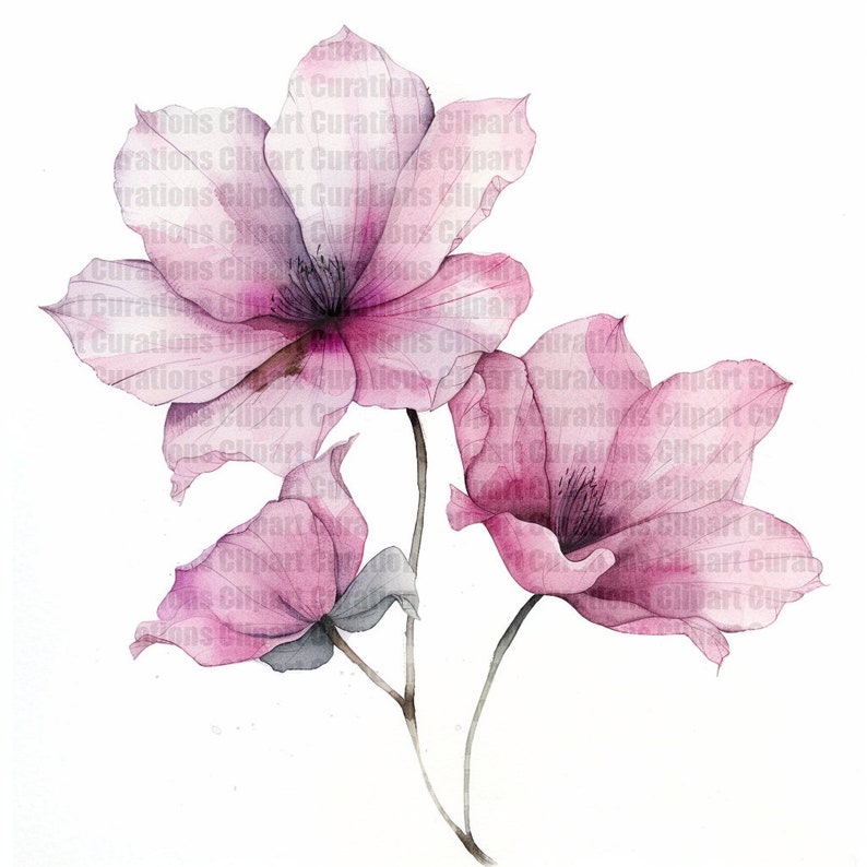 18 Countless Watercolor Flowers Clipart, Flowers Print, Printable ...