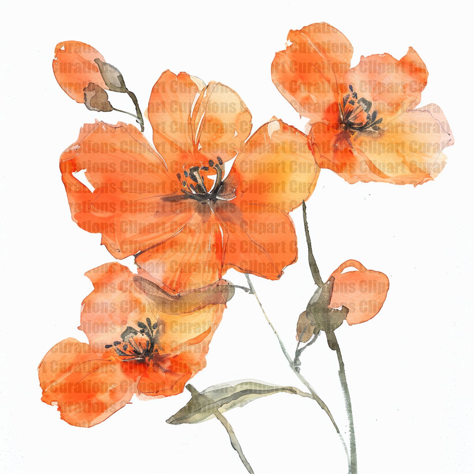 18 Countless Watercolor Flowers Clipart, Flowers Print, Printable ...