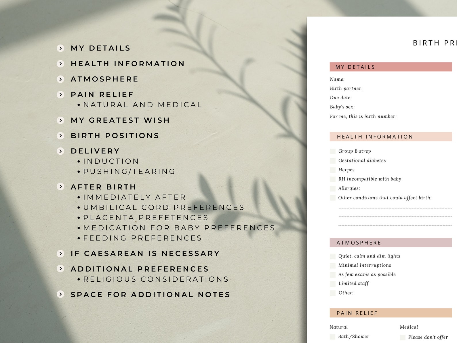 Birth Plan Template Editable Printable Birth Preference Birth Checklist ...