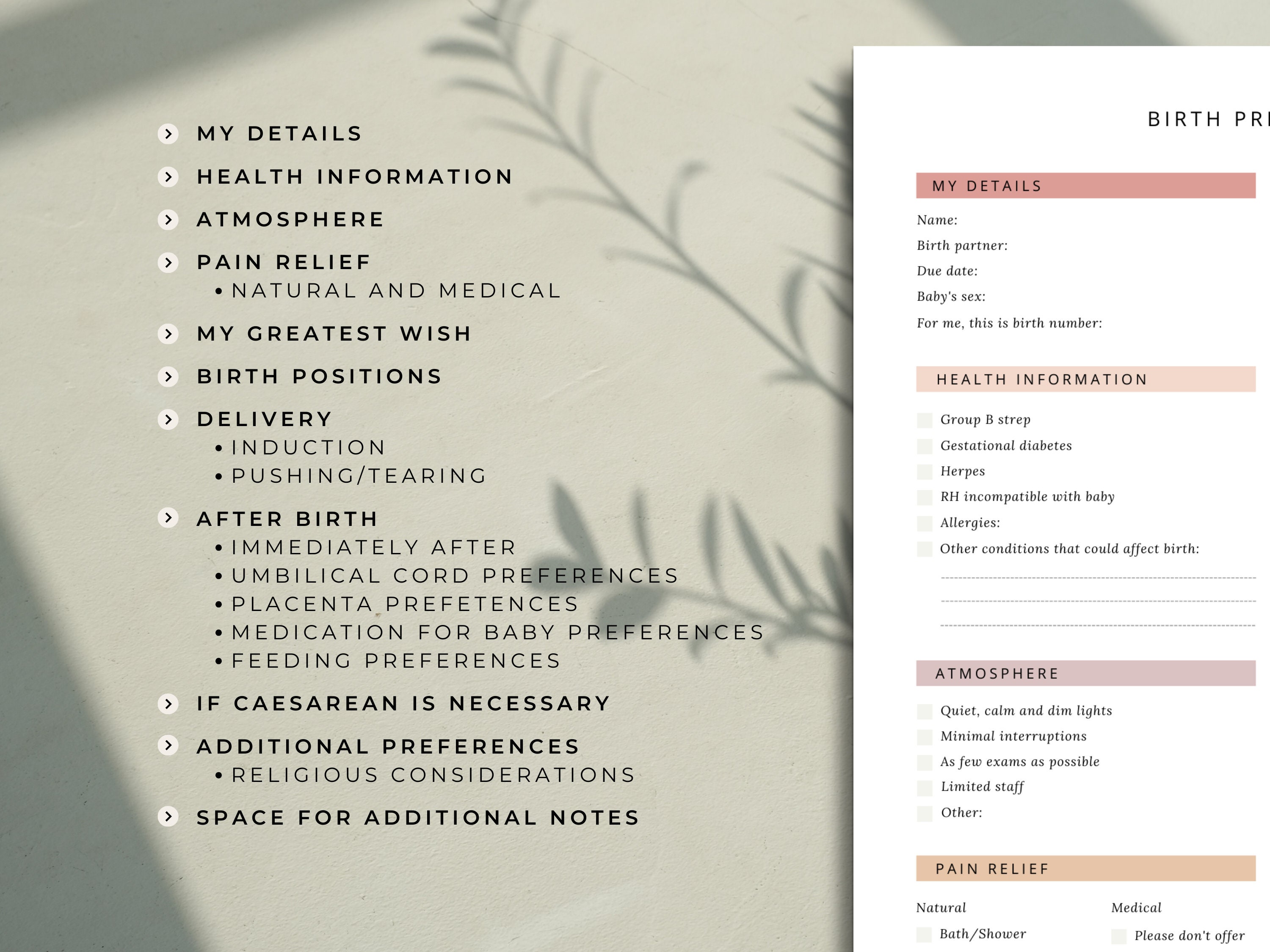 Birth Plan Template | Editable + Printable | Birth Preference | Birth ...