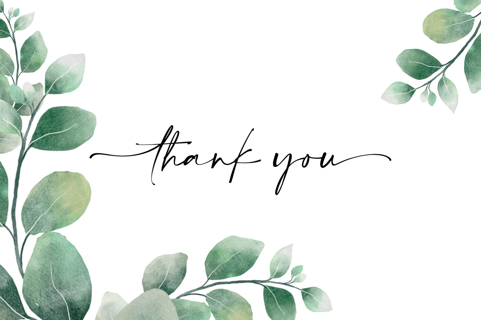 Digital Printable Eucalyptus Thank You Card 4x6, 4x6 Thank You ...