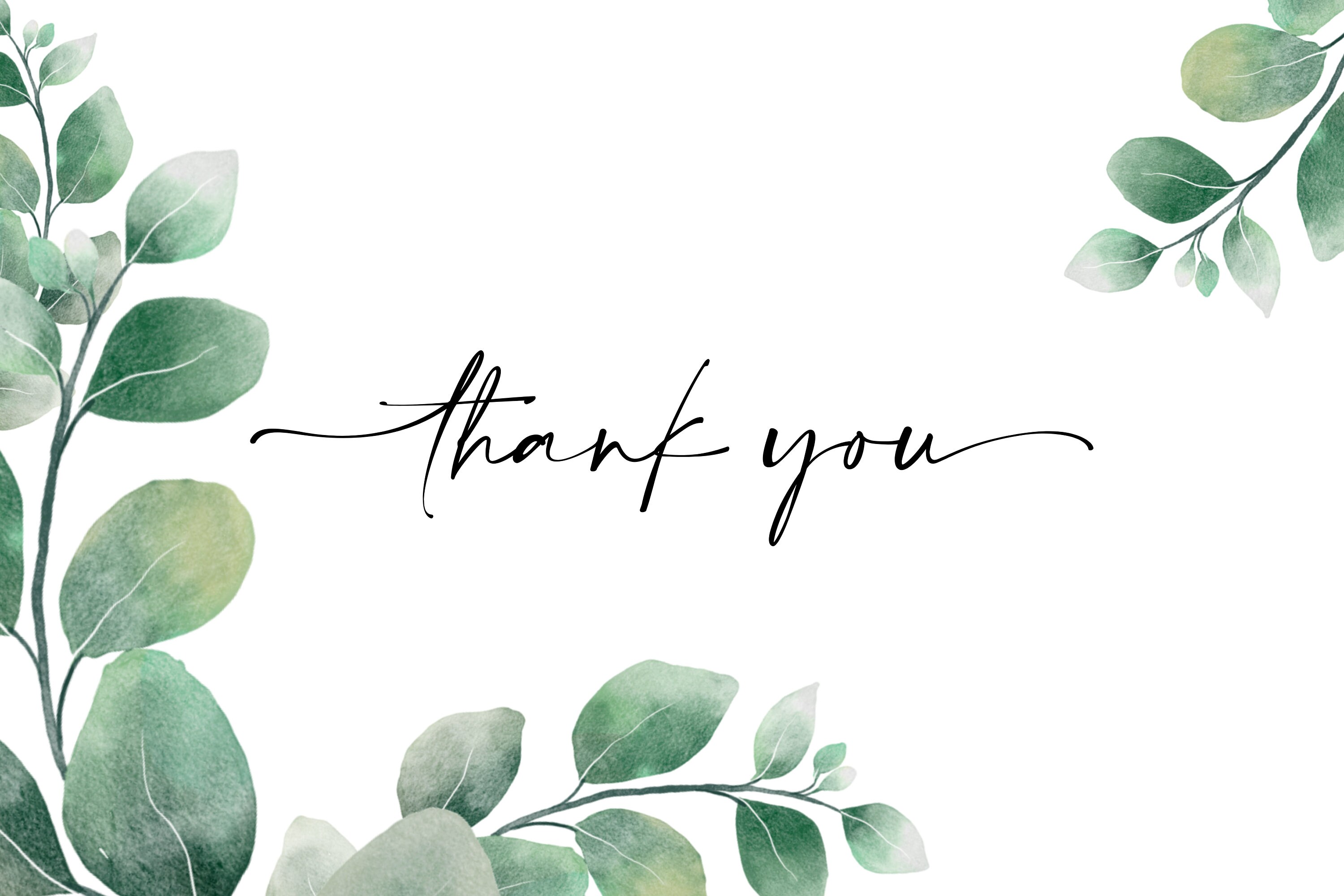 Digital Printable Eucalyptus Thank You Card 4x6, 4x6 Thank You ...