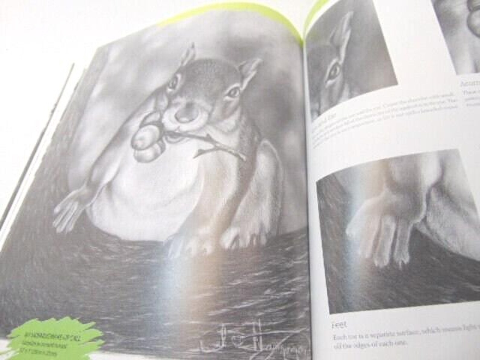 Draw Animals in Nature W/ Lee Hammond Art Techniques PB 2012 144pg - Etsy