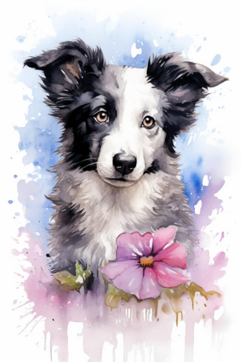 Border Collie Portrait INSTANT DOWNLOAD Border Collie Portrait ...