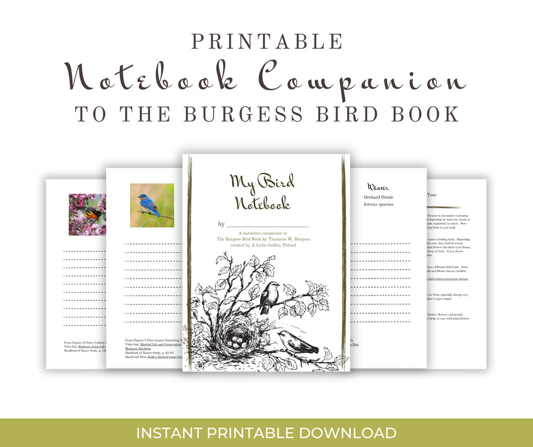 My Bird Book: Companion Notebook to the Burgess Bird Book - Etsy