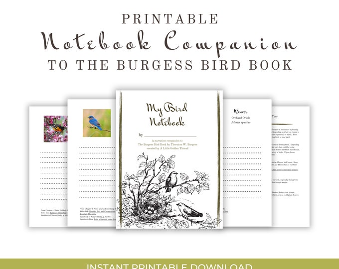 Burgess Bird Book for Children Book Companion & Notebooking Guide ...