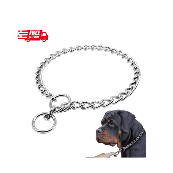 Heavy Chain Dog Collar