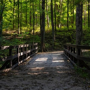 Forest Bridge - Digital Wall Art, Desktop Background, Forest Picture - Etsy