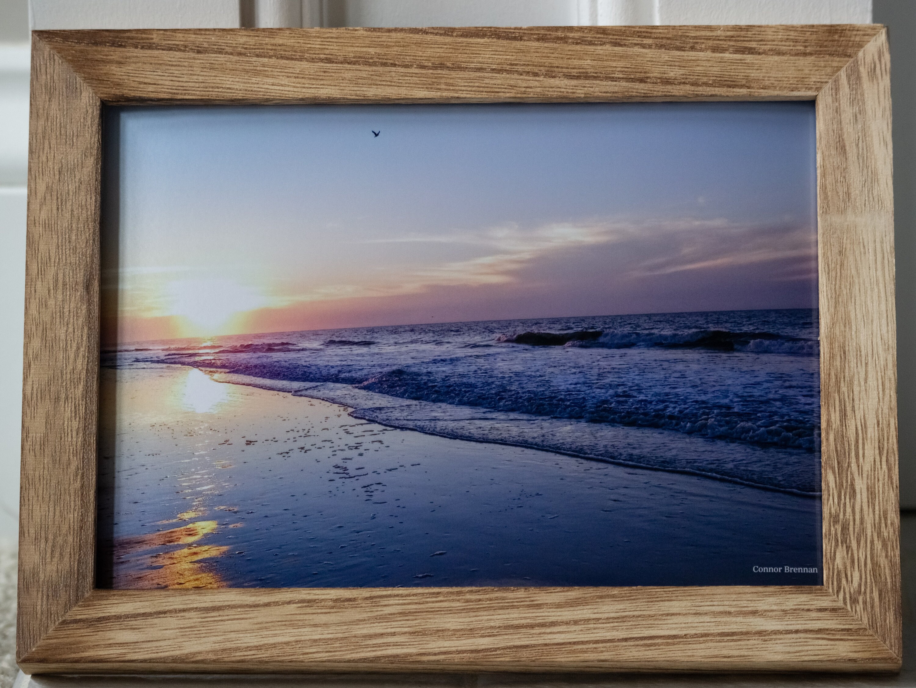 Seabird and Sunrise at HHI Digital Print - Desktop Background, Summer ...